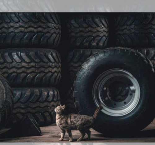 Сельскохозяйственная шина Carlisle Farm Specialist Trac Radial-II 420/85R28 139A8/139B TL