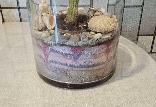 Ваза для флорариума стеклянная ваза