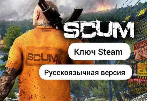 Scum на пк, ключ Steam