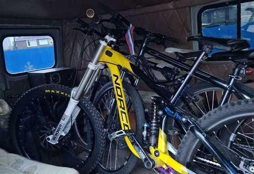Norco aurum