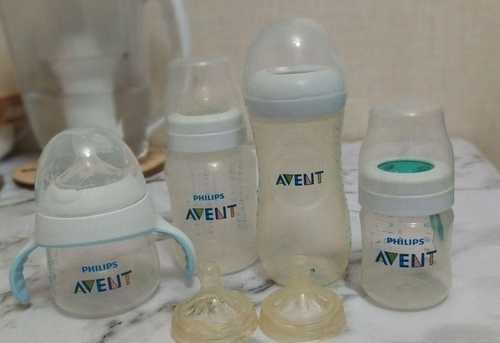 Бутылочки avent