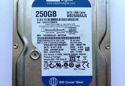 3,5" WD2500aajs 250Гб SATA-2, 100%