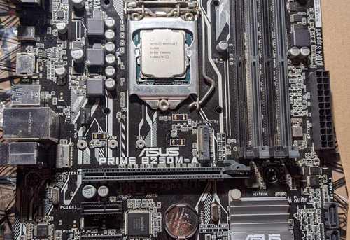 Asus Prime b250m-a + Pentium g4560