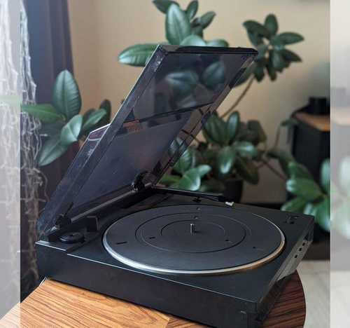 Yamaha P-100X