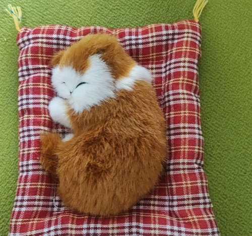 Котик игрушка