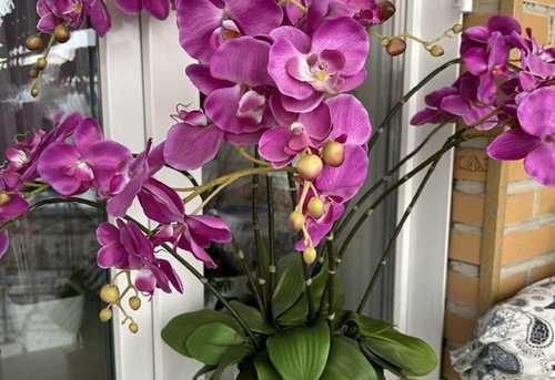 Орхидея фаленопсис (искустаенная )