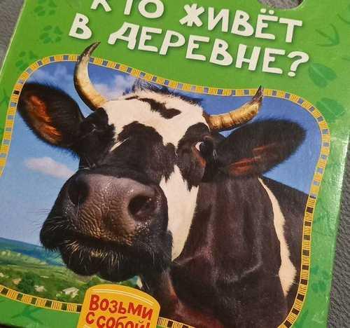 Книга детская "Кто живёт в деревне"