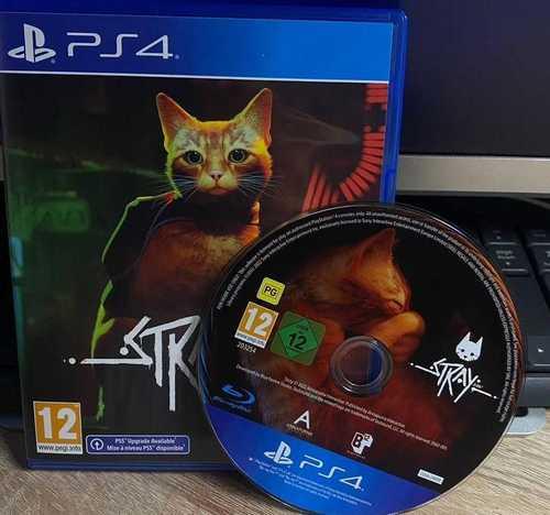 Игра на ps4 stray