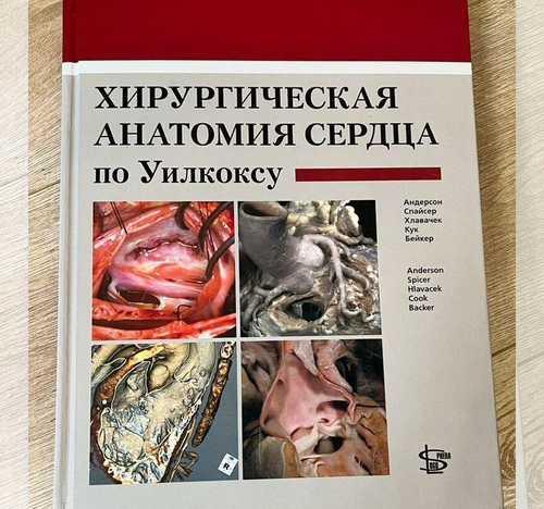 Хирургическая анатомия сердца по Уилкоксу