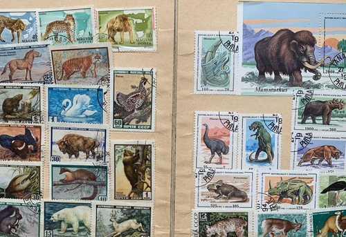 Альбом марок фауна 16 страниц
