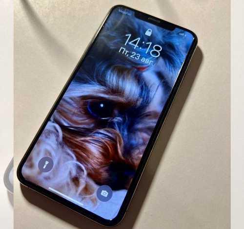 iPhone Xs Max, 512 ГБ