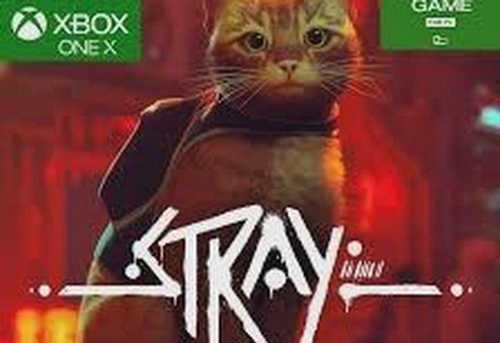 Stray xbox