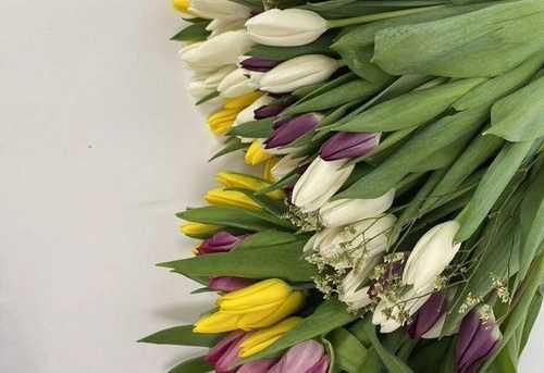 Тюльпаны на 8 марта оптом