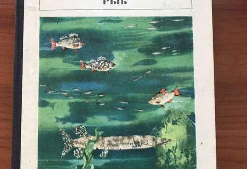 Жизнь и ловля пресноводных рыб. 1970
