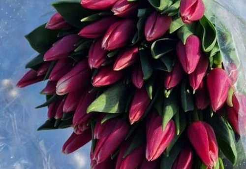 Тюльпаны к 8 марта оптом в Наличии