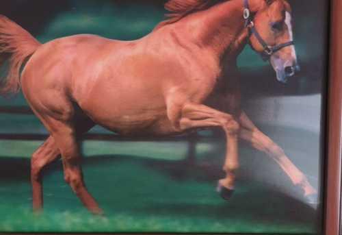 Картины для декора