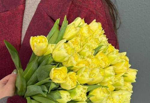 Тюльпаны Пионовидные с доставкой к 8 марта