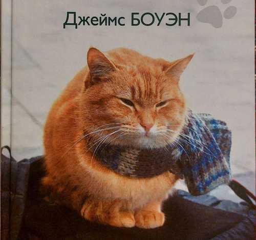 Уличный кот по имени боб
