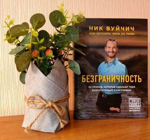 Книга Безграничность Ник Вуйчич