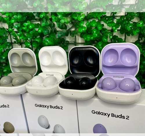 Samsung galaxy buds 2