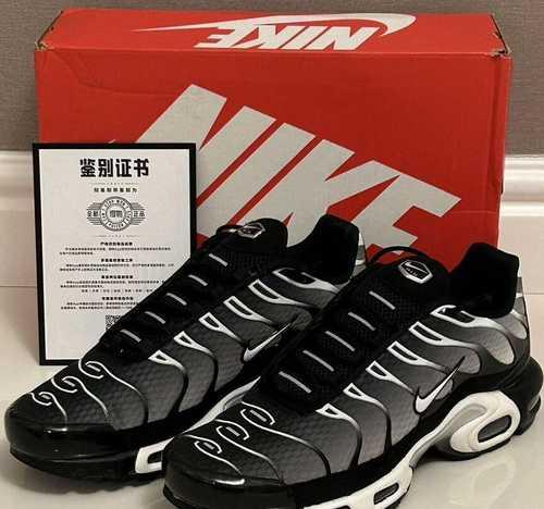 Кроссовки Nike Air Max TN Plus