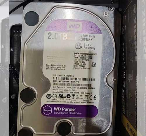 Жесткий диск wd purple 2tb