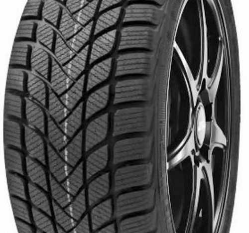 Delinte Winter WD6 155/70 R13 75T