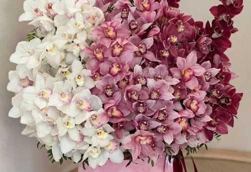 Букет цветов орхидеи,цветы букеты,доставка