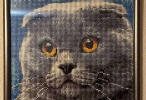 Картина алмазная мозайка, кот британец