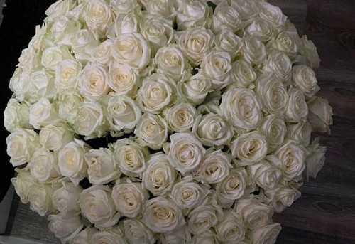 Букет 101 белая роза, белые розы, букет белых роз