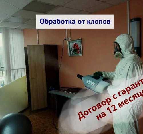 Уничтожение клопов тараканов грызунов
