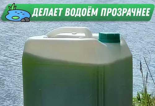 Живая водоросль суспензия