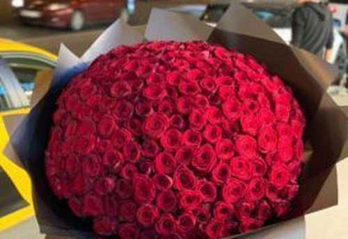 Розы с доставкой розочки 51 роза 25 роз Букет роз