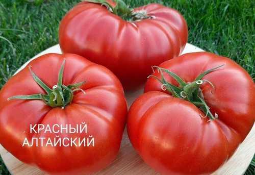 Семена коллекционных томатов. Красные