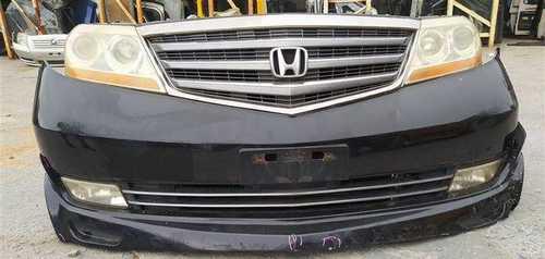 Ноускат Honda Elysion