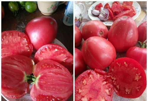 Старинный сорт томата из СССР семена