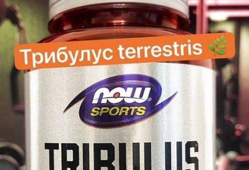 Трибулус, nowsports, 100шт