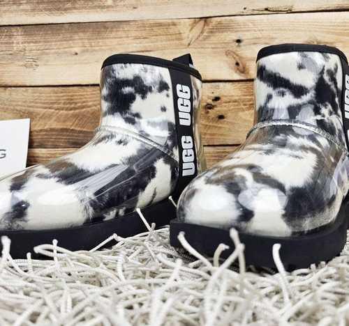 Угги Ugg Classic Clear Mini Zebra женские оригинал