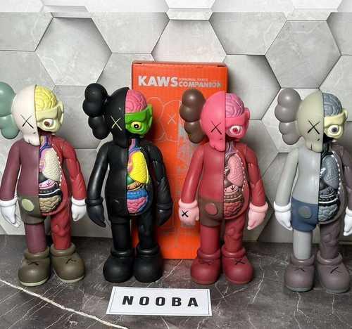 Kaws Anatomy