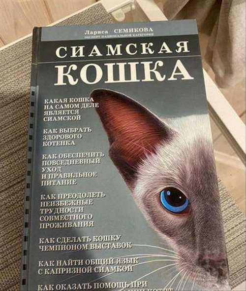 Сиамская кошка начинающим. Лариса Семикова