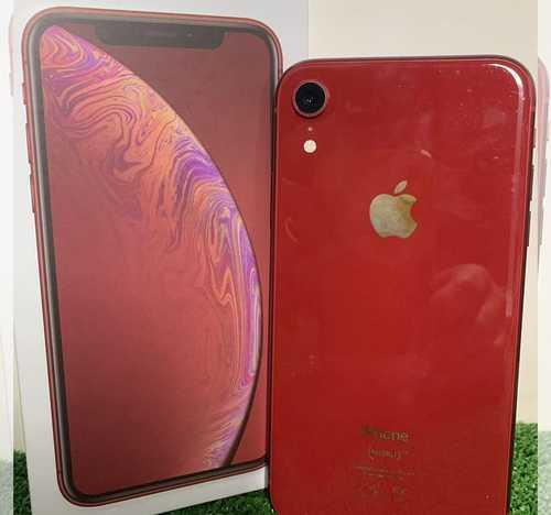 iPhone Xr, 128 ГБ