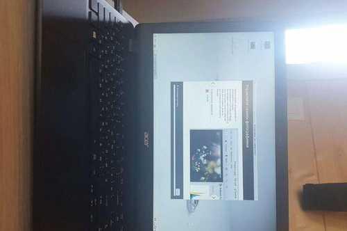 Acer extensa 2519