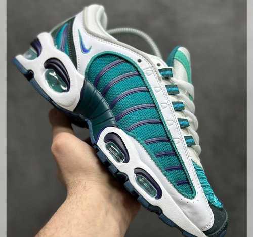 Кроссовки Nike Air Max Tailwimd