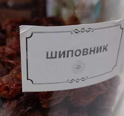 Шиповник