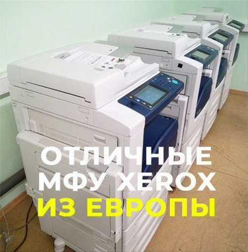 Мфу цветной Xerox с гарантией