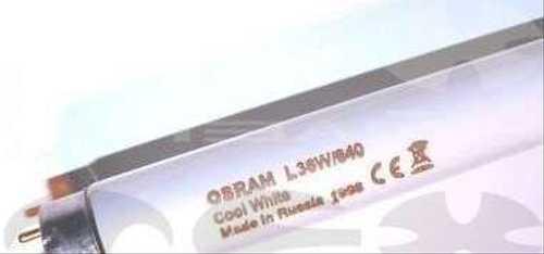 Люминесцентные лампы Osram L 36W/640 и 18W/640