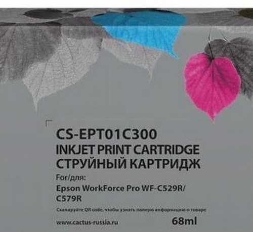 Картридж Cactus CS-EPT01C300 (1745142) 1452649
