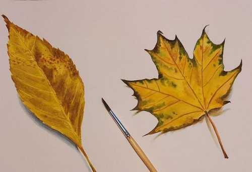 3 Картины акварель "Осеннее состояние"