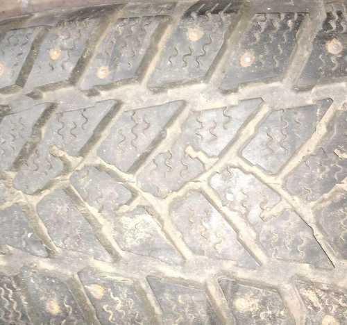 Accelera Badak X-Treme 195/65 R14