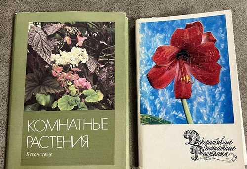 Открытки СССР Комнатные декоративные растения